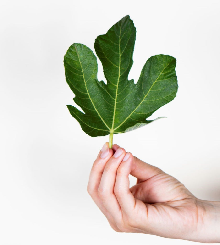 Pause, Breathe and Unwind With Our Slow Essentials - Lothantique USA